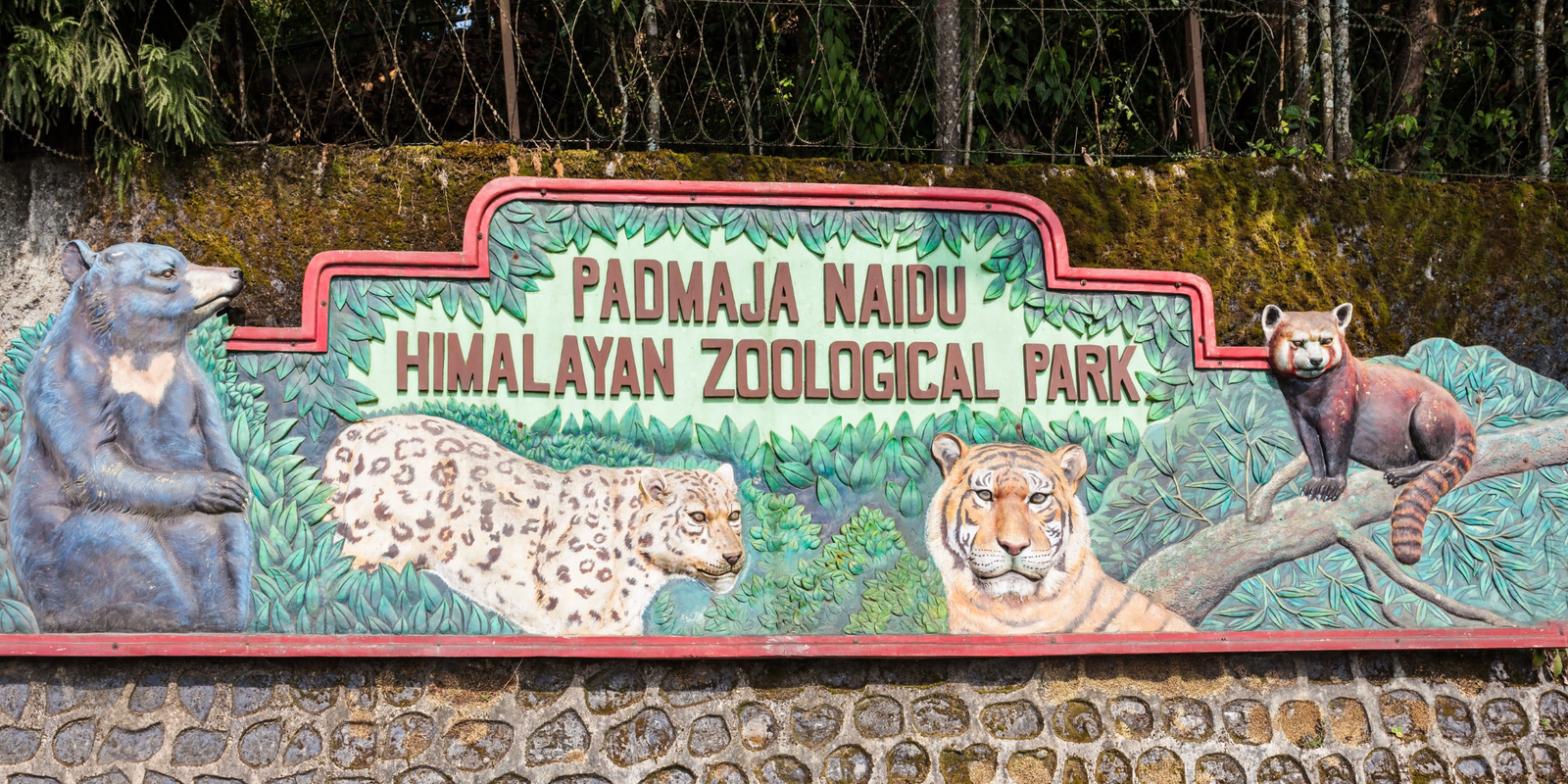 Padmaja Naidu Himalayan Zoological Park - Raid Bytess